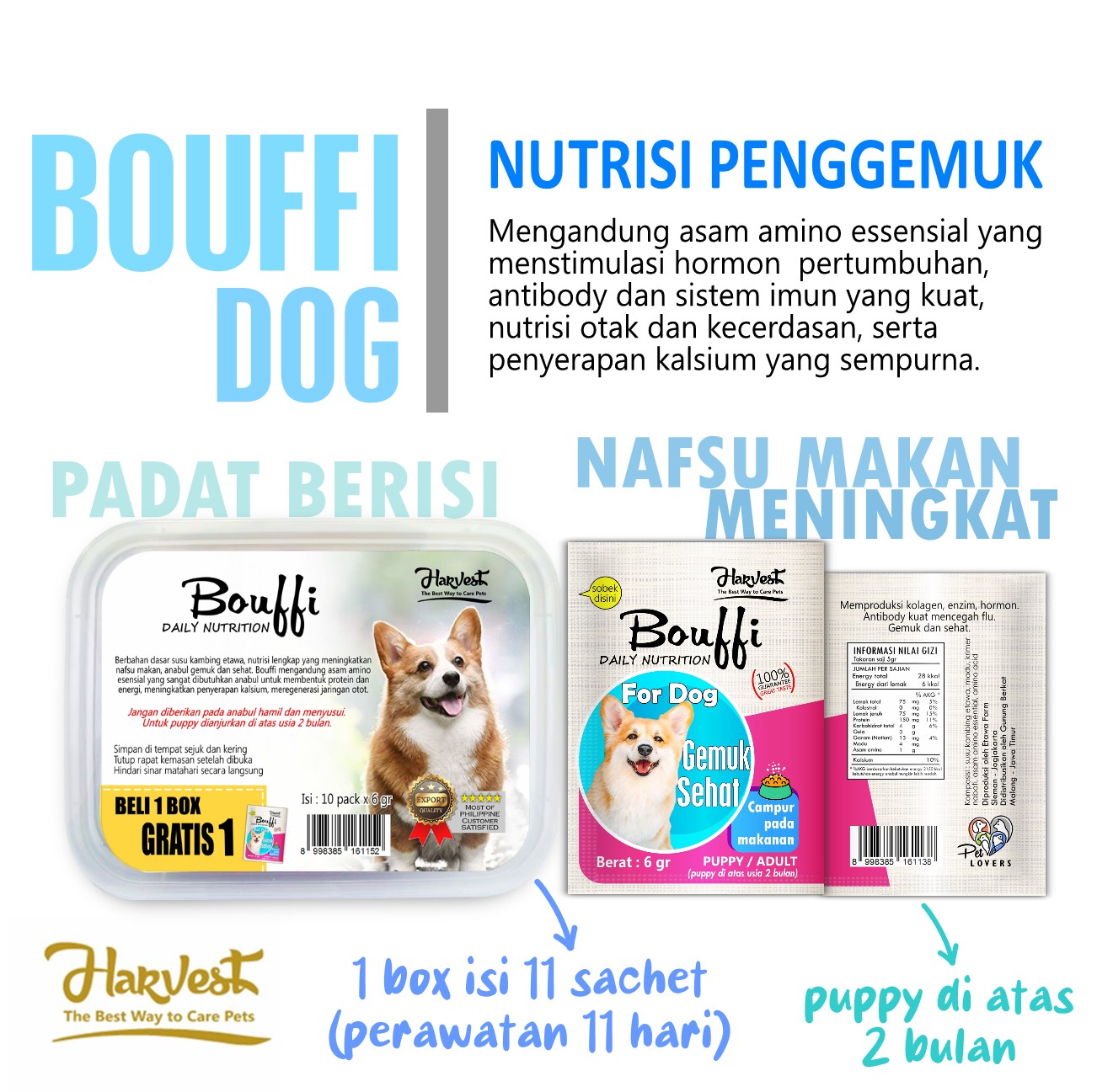 Bouffi Dog - PERKS by Talentvis